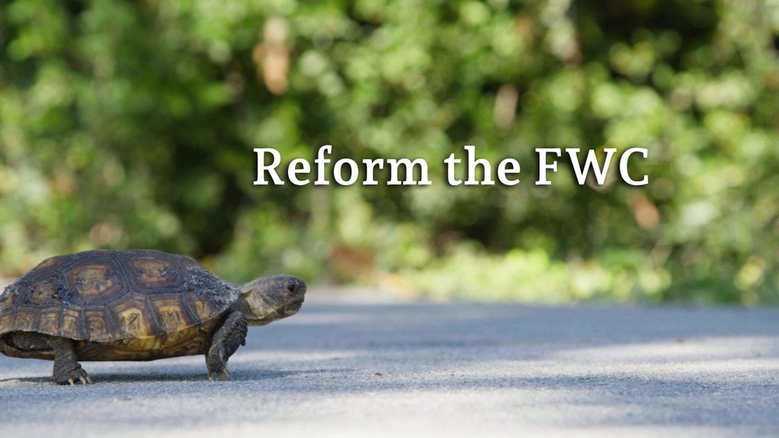 Help Pass the FWC Reform Bill | Support FWC Reform